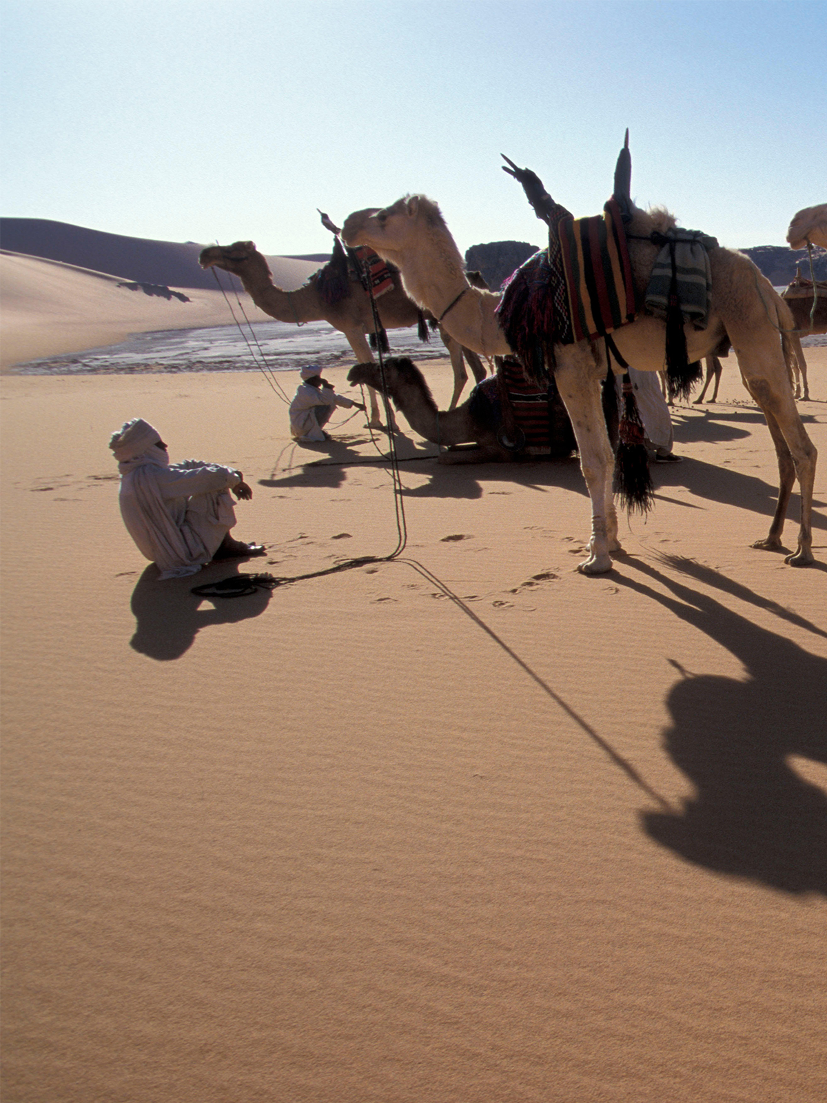 History and origins of the Touareg people